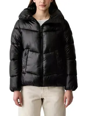 Dkny Quilted Puffer Jacket With High Neck - Black