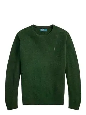 Polo Ralph Lauren Polo Ralph Lauren Fine-Gauge Wool V-Neck Sweater Green