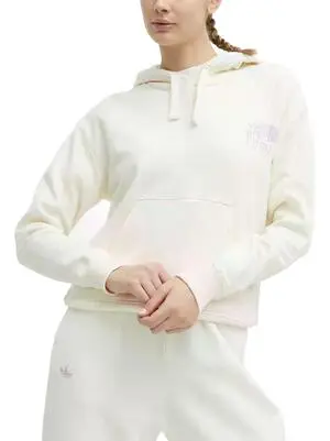 The North Face Plastic Free Peaks Hoodie - Neutrals