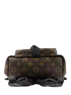 LOUIS VUITTON Monogram Canvas Palm Springs Pm Backpack - Brown