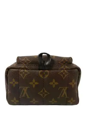 LOUIS VUITTON Mini Palm Springs Backpack - Brown