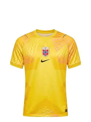 Nike Norway 2026 Stadium Goalkeeper Dri-fit Replica Short-sleeve Shirt 'lightning/black/black - Yellow