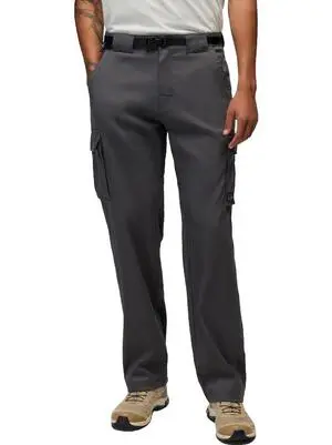 Prana PrAna Stretch Zion™ Cargo Pants Shadow