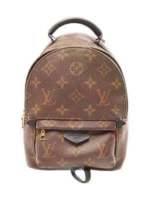 LOUIS VUITTON 2020 Palm Springs Mini Backpack - Brown