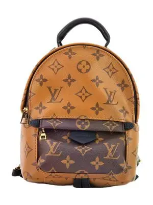 LOUIS VUITTON Palm Springs Mini Backpack - Brown