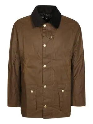 Chestnut Brown (marrone)