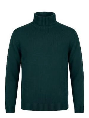 ZANONE ZANONE Virgin Wool Turtleneck Sweater Green