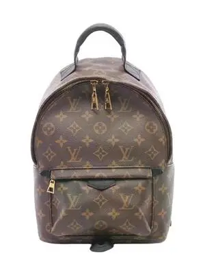 LOUIS VUITTON Palm Springs Monogram Backpack Pm - Brown