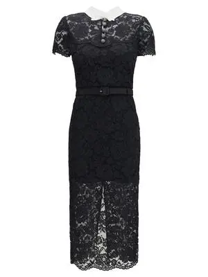 SELF-PORTRAIT Lace Contrast Collar Midi Dress - Black