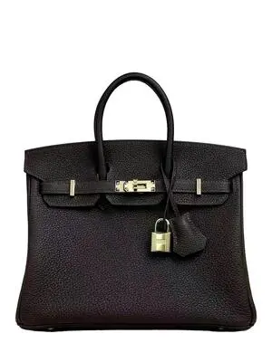 Hermès Hermès Birkin 25 Handbag In Togo Leather With Gold-Tone Hardware Brown