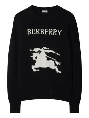 BURBERRY Burberry Knight Print Long-Sleeve Knit Top