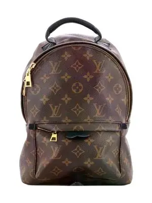 LOUIS VUITTON Palm Springs Monogram Canvas Pm Backpack - Brown
