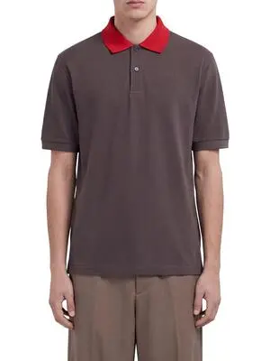 Marni Short-sleeve Cotton Polo Shirt With Ribbed Collar And Two Buttons - Brown
