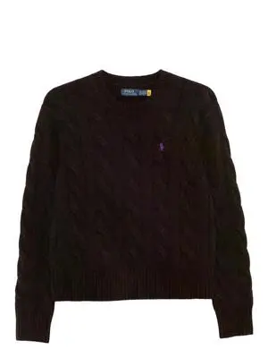 Polo Ralph Lauren Polo Ralph Lauren Cable Knit Embroidered Logo Sweater Brown