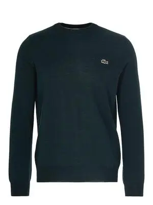 Lacoste Lacoste Crewneck Sweater With Embroidered Logo Sinople