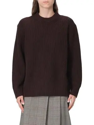 Pinko Relaxed Fit Wool Crewneck Jumper With Dropped Shoulders - Brown