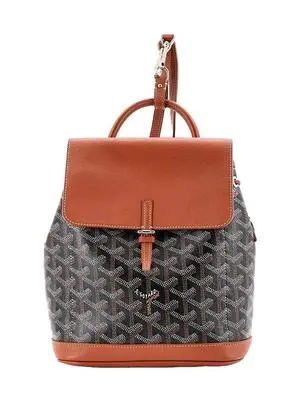 Goyard Alpin Backpack Coated Canvas - Brown