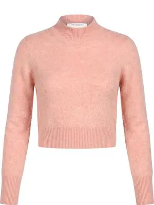 Sportmax Sportmax Solid Color Knit Turtleneck Sweater With Appliqués Pink