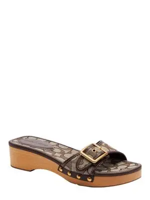 COACH Buckled Open Toe Slippers - Brown