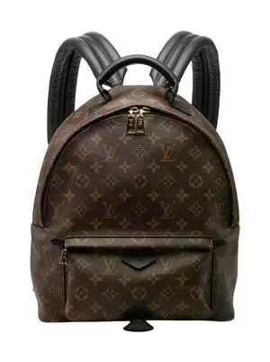 LOUIS VUITTON Monogram Palm Springs Mm Backpack - Brown