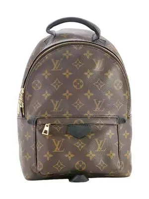 LOUIS VUITTON Palm Springs Monogram Canvas Pm Backpack - Brown