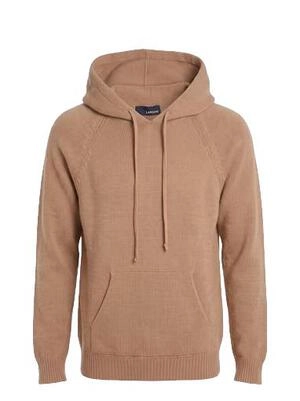 LARDINI Cashmere Hooded Sweater - Beige