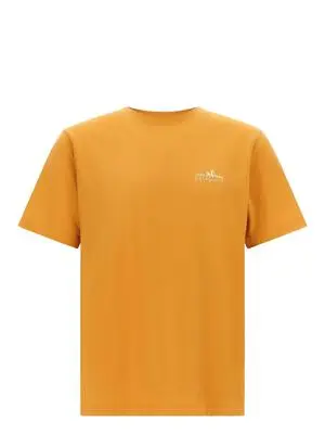 Patagonia Fitz Roy Foothills' T-shirt - Orange