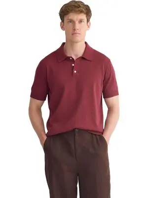 Everlane No-sweat Sweater Polo - Cabernet