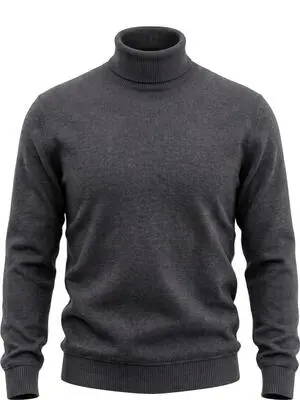 ALTEA Altea Turtle Neck Sweater