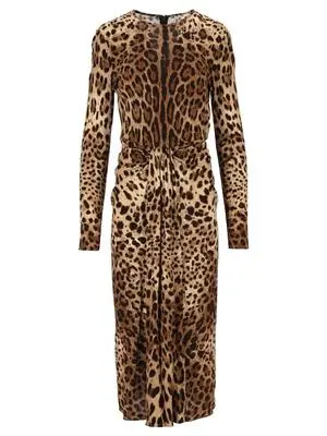 Dolce & Gabbana Viscose Jersey Leopard Print Dress - Multicolor