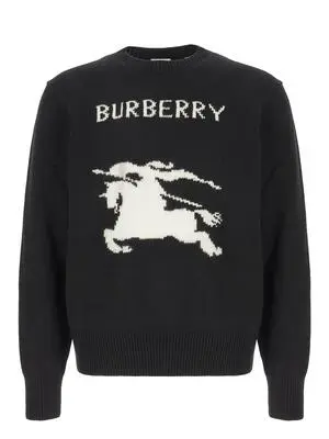 Burberry Clothing Knitwear - Multicolor