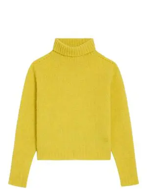 Celine Wool Turtleneck With Triomphe Embroidery - Multicolor
