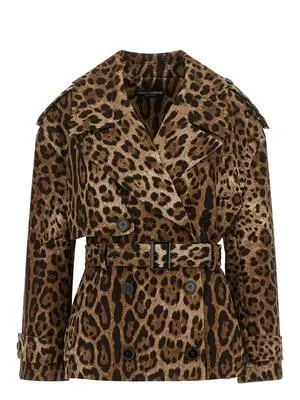 Dolce & Gabbana Leo Trench Coat - Brown