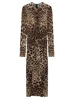 Dolce & Gabbana Leopard-print Viscose Jersey Dress - Brown
