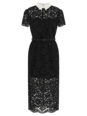 SELF-PORTRAIT Lace Contrast Collar Midi Dress - Black