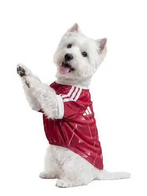 Adidas Pet Jersey Liverpool Fc - Active Maroon