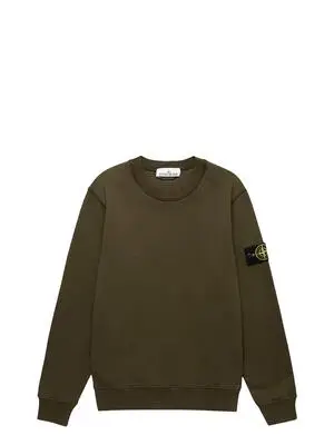Stone Island Crewneck Sweatshirt 'olive' Green