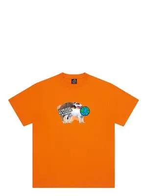 CORTEIZ Doggy Tee - Orange