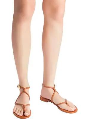 GIANVITO ROSSI Gianvito Rossi Jungle Mamba Flat Sandals Brown