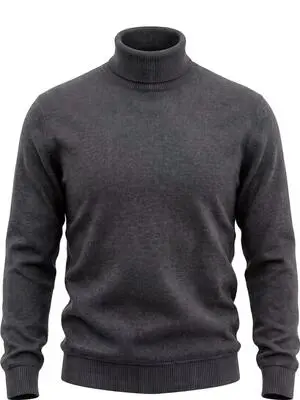 Altea Roll-neck Wool Sweater Grey