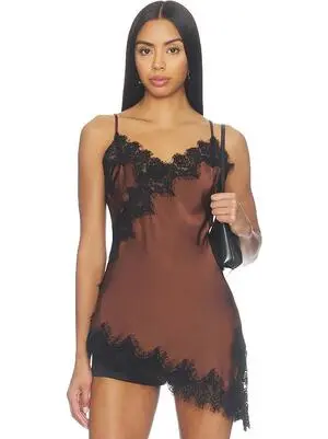 Astr The Label Lace Trim Asymmetrical Top - Brown
