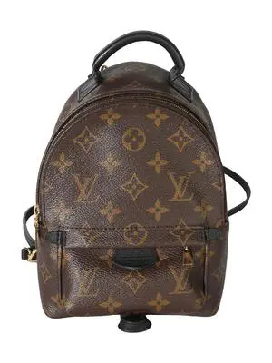 LOUIS VUITTON Monogram Canvas Palm Springs Backpack - Brown