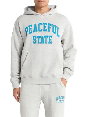 MUSEUM OF PEACE & QUIET Peaceful State Hoodie - Ash