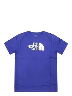 The North Face Evolution Half Dome T-shirt - Blu