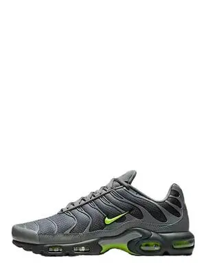 Nike Nike Air Max Plus Sneakers Grey
