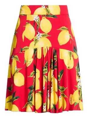 DOLCE & GABBANA DOLCE & GABBANA Flared Mini Skirt