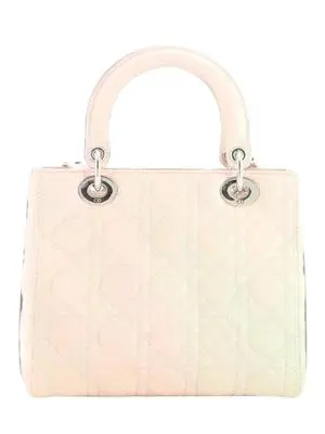 Dior DIOR Lady NM Bag Satchel Neutrals