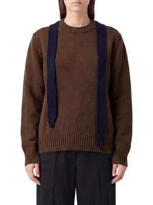 Sacai Wool Crewneck Jumper With Contrast Panel And Embroidery - Brown