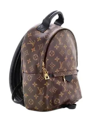 LOUIS VUITTON Louis Vuitton Palm Springs Monogram Canvas PM Backpack Brown