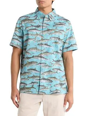 Reyn Spooner Oio Naoki Button-down Shirt - Adriatic Blue
